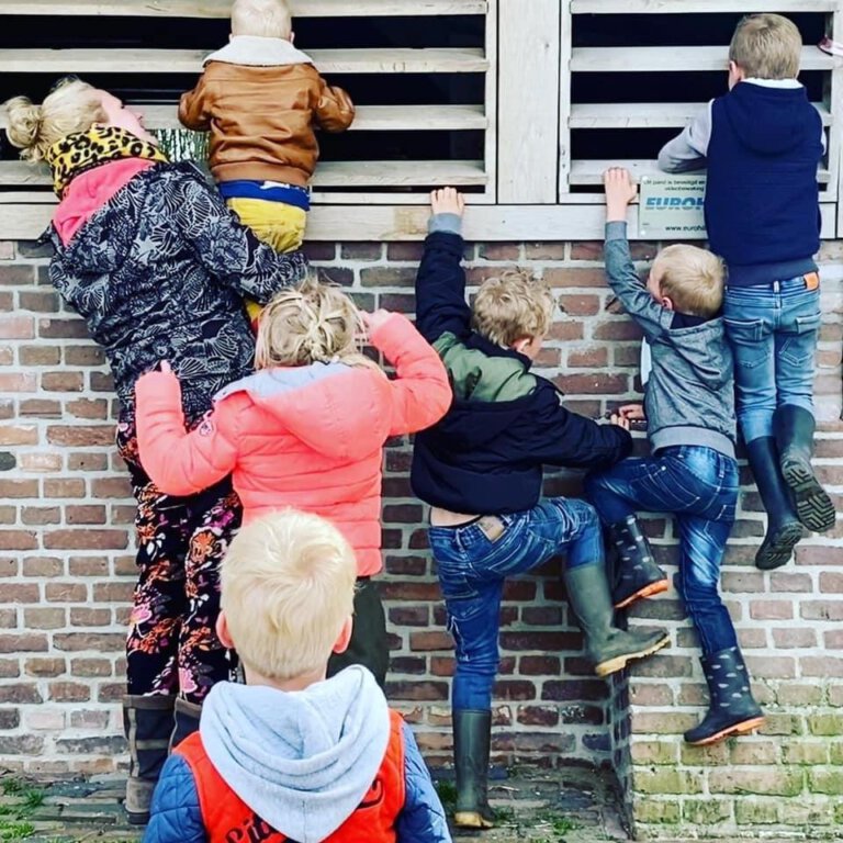 Groepsdruk, oftewel peer pressure bij tieners - Tips en tricks