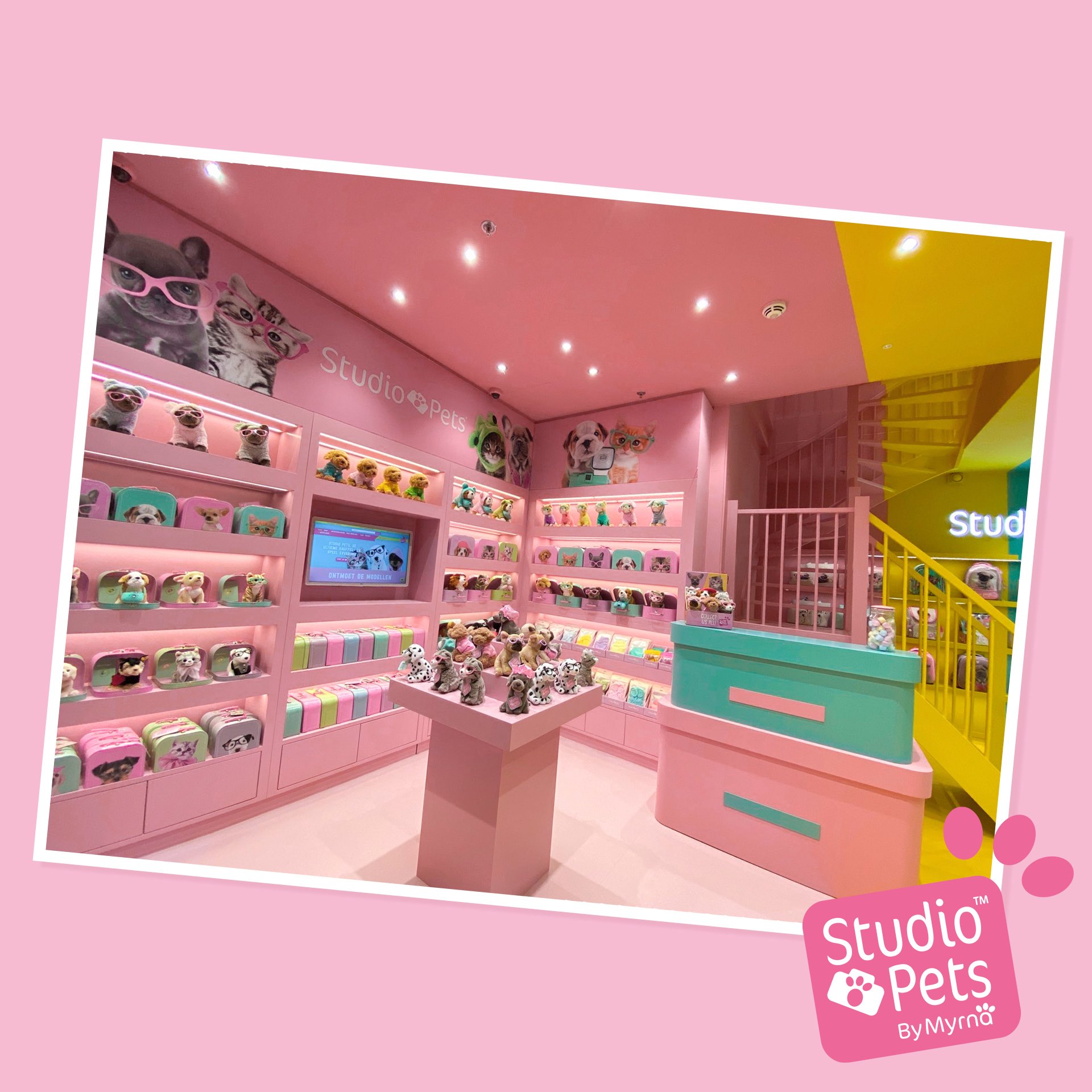 Studio Pets by Myrna: het merk met foto's en video's van schattige dieren!